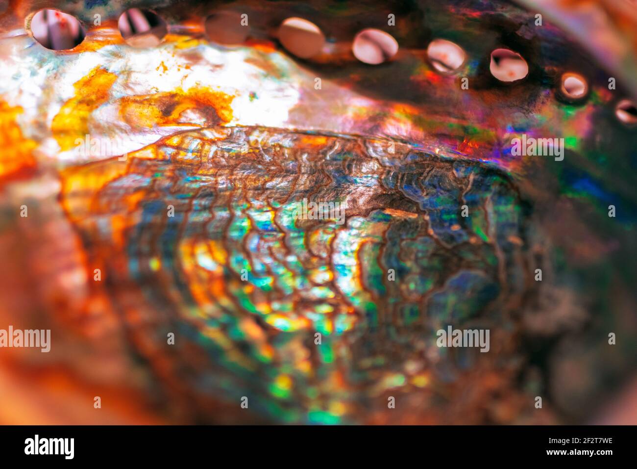 Nacre texture hi-res stock photography and images - Alamy