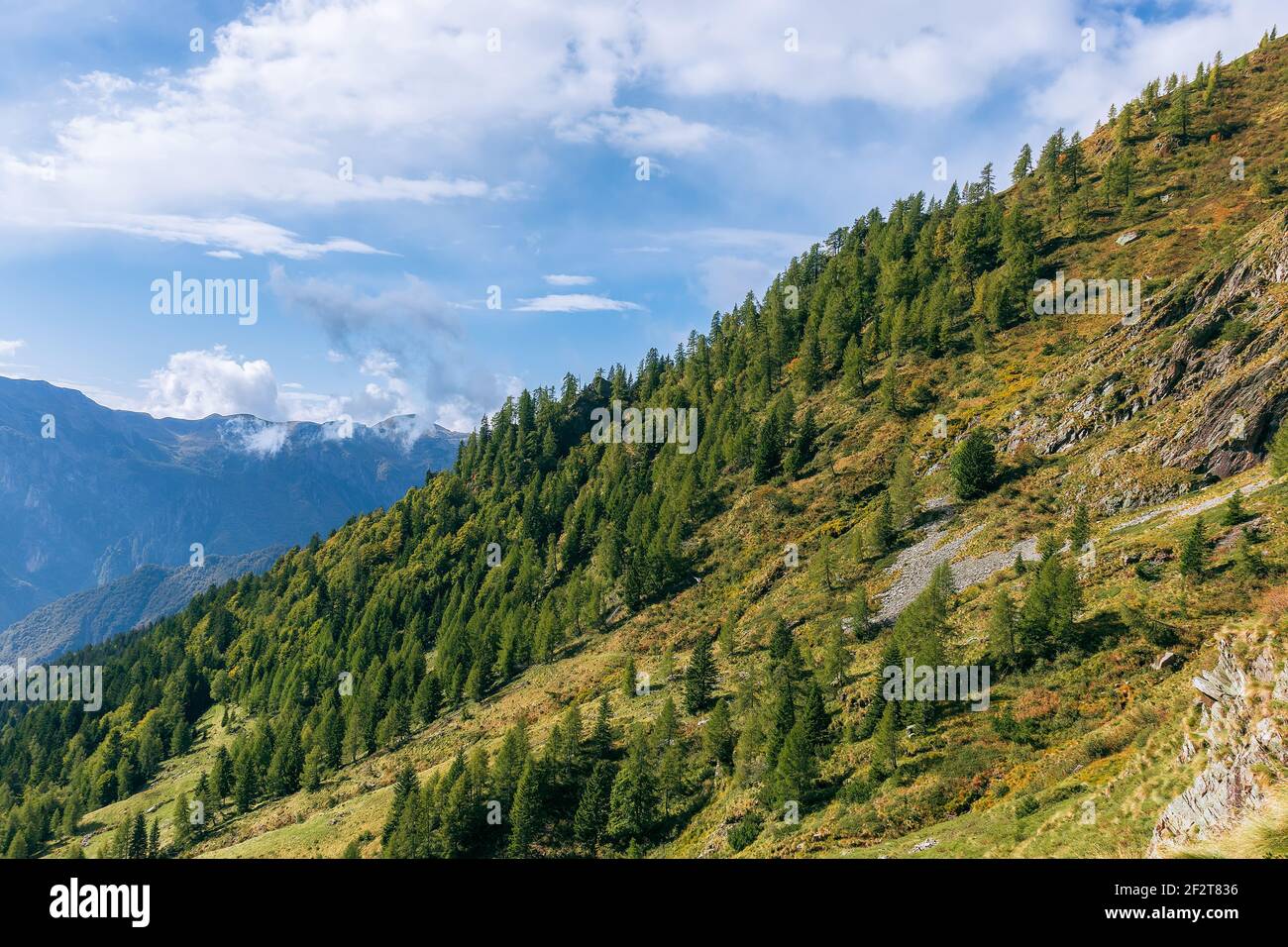 Colorful forest on alps mountain hi-res stock photography and images ...