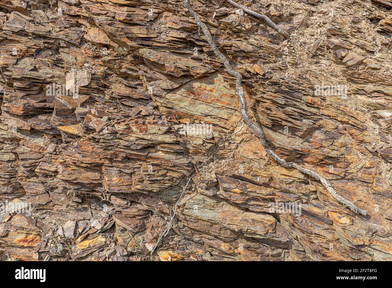 Natural volcanic stone texture. Rock texture and background Stock Photo ...