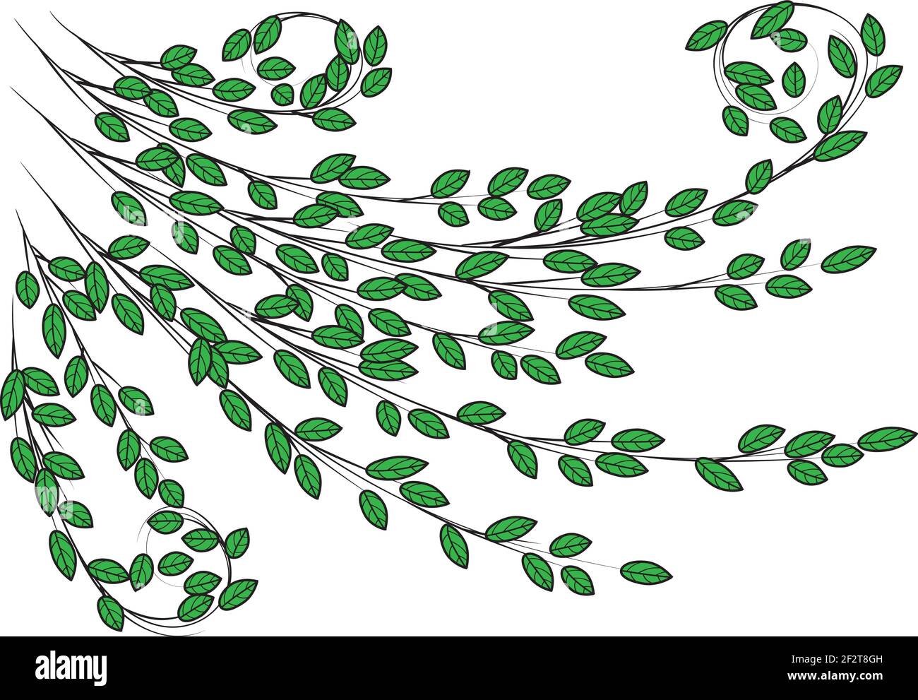 Flying leaf Cut Out Stock Images & Pictures - Alamy