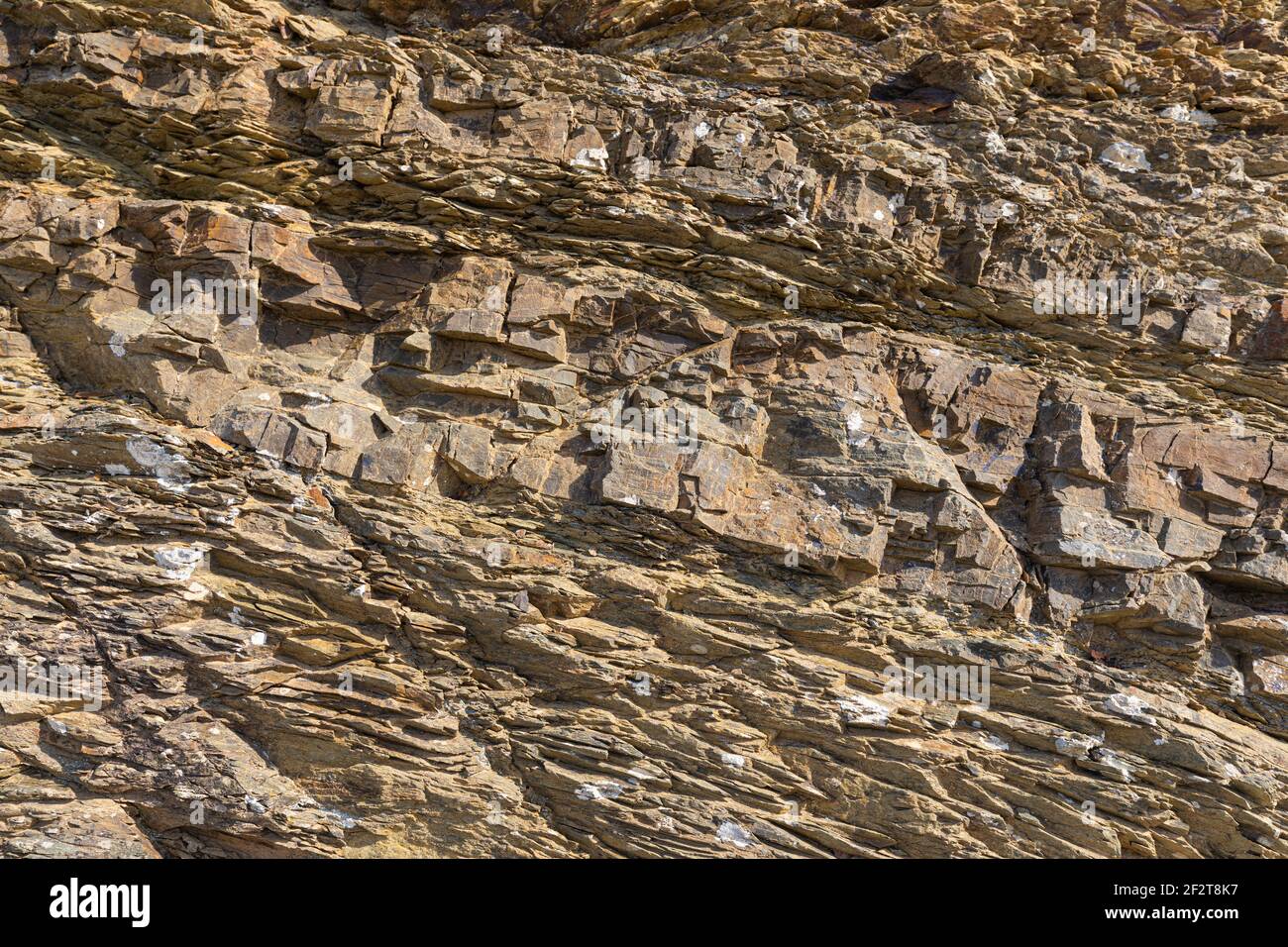 Natural volcanic stone texture. Rock texture and background Stock Photo ...