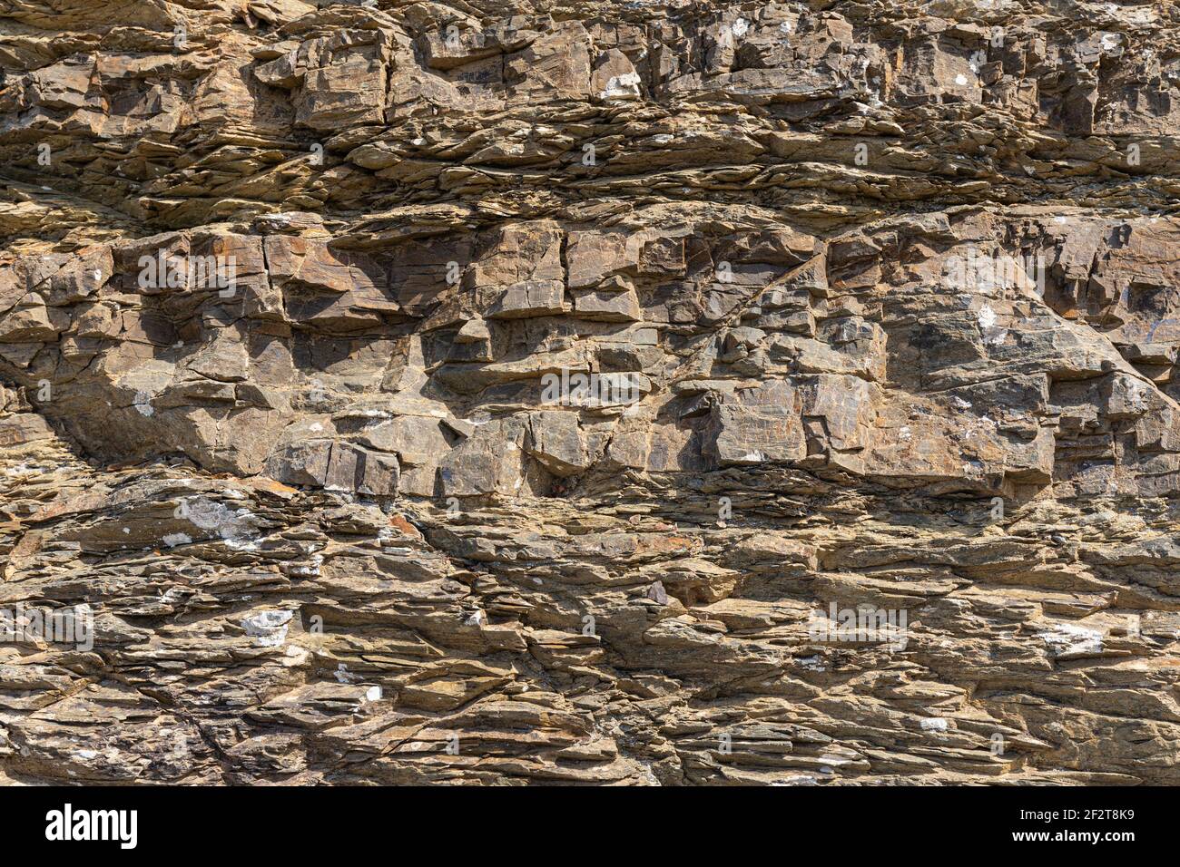 Natural volcanic stone texture. Rock texture and background Stock Photo ...