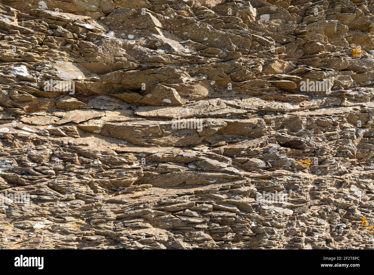 Natural volcanic stone texture. Rock texture and background Stock Photo ...