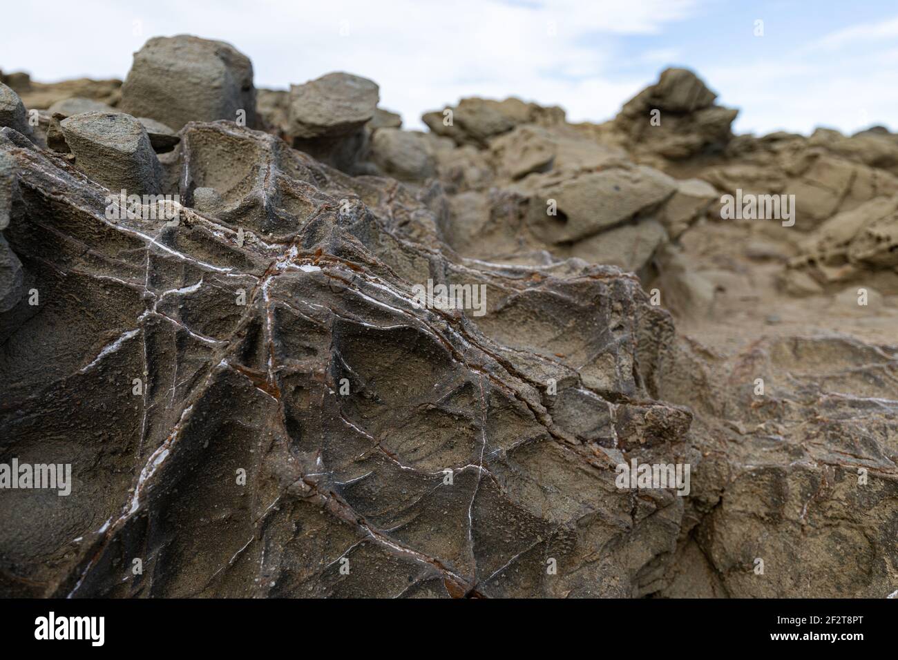 Natural volcanic stone texture. Rock texture with metal elements ...