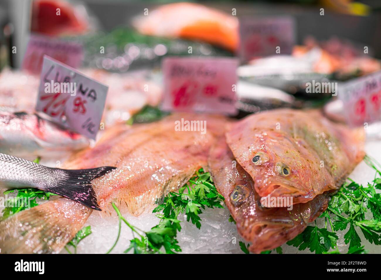 Closeup of sole hi-res stock photography and images - Alamy