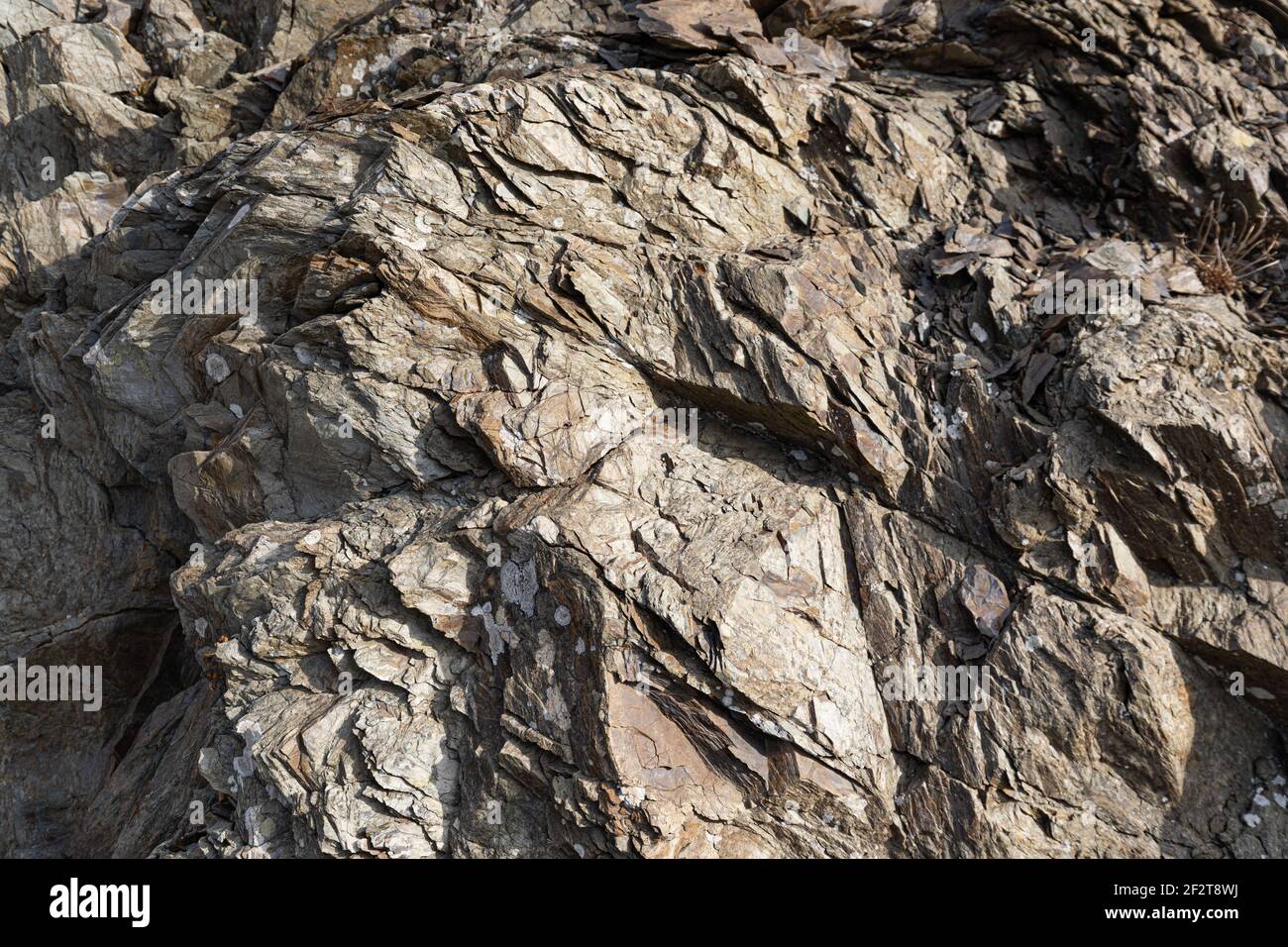 Natural volcanic stone texture. Rock texture and background Stock Photo ...