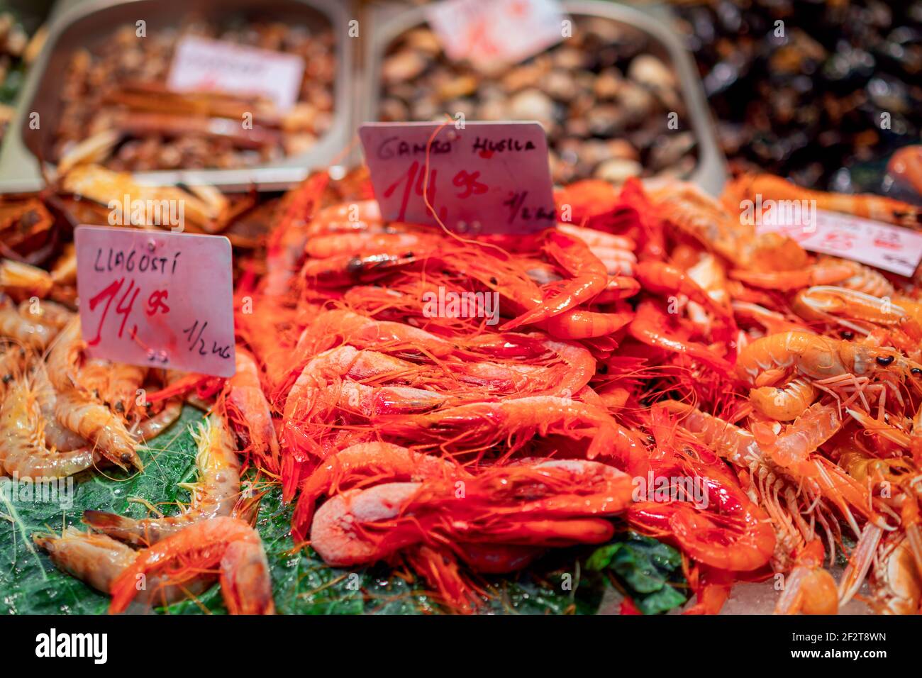 Red prawns on the Spanish fish market. Selective focus. Bokeh. Food ...