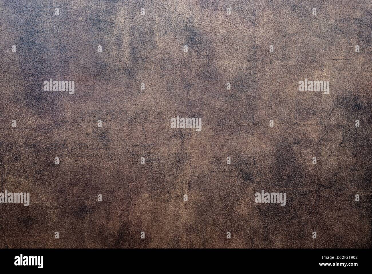 Closeup photo of bison leather texture for background. Texture of ...