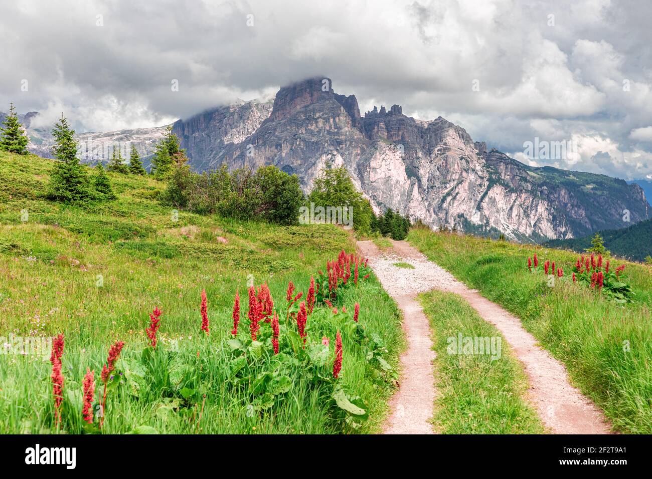 Alpine landscapes hi-res stock photography and images - Alamy
