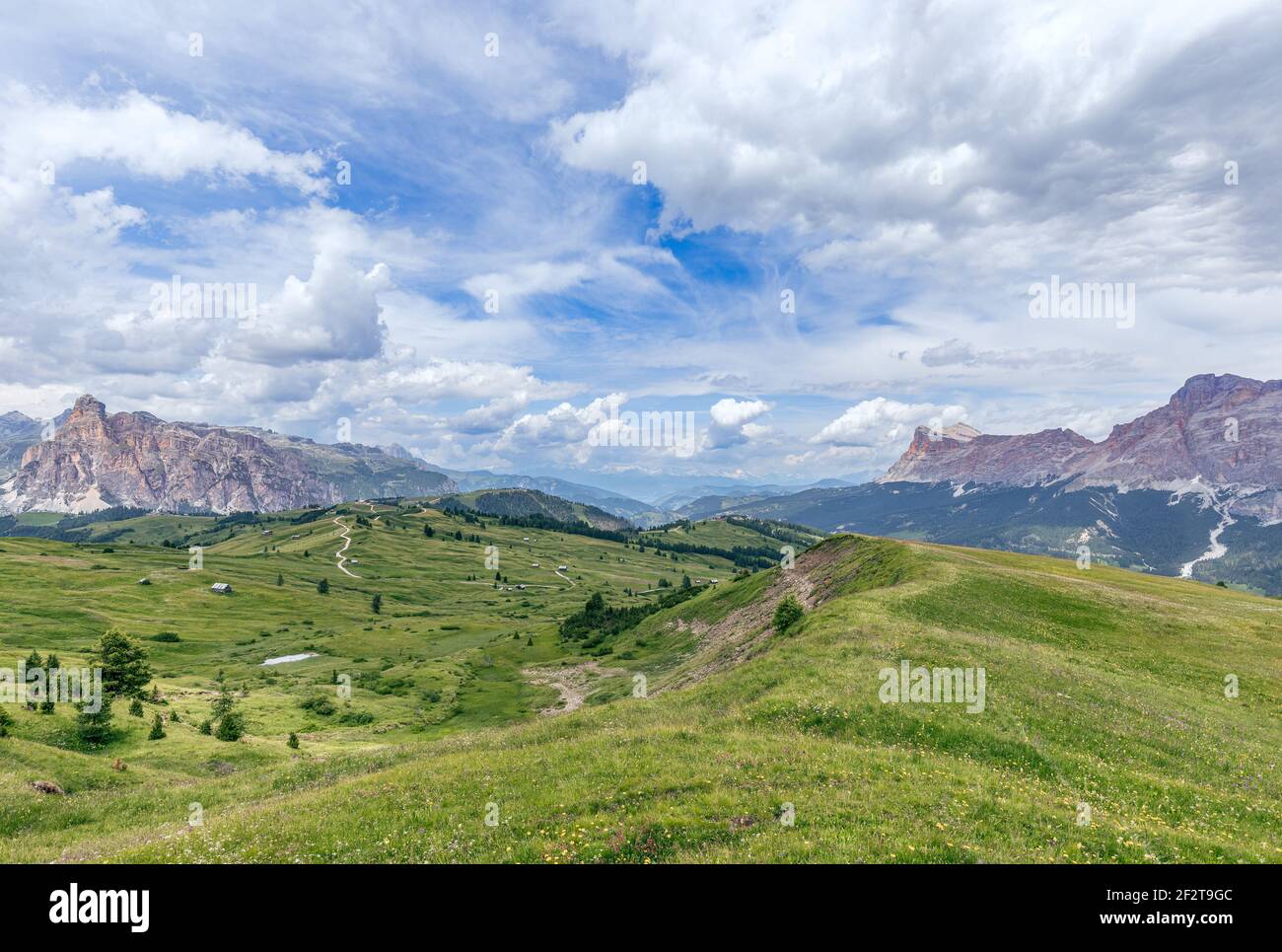 High plateau meadows hi-res stock photography and images - Alamy