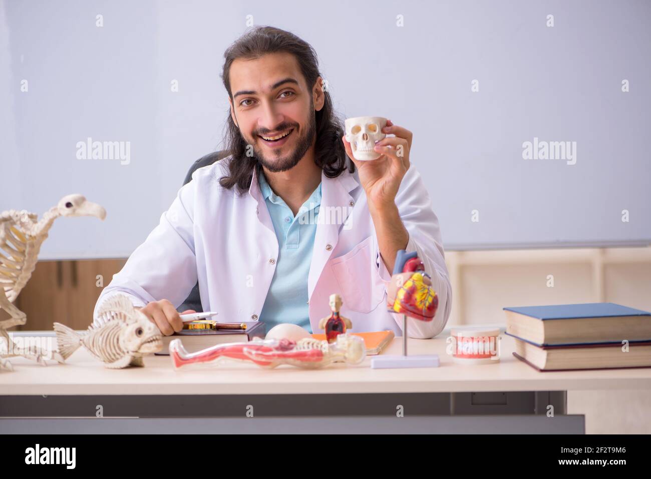 Young zoologist examining skeleton in the lab Stock Photo - Alamy