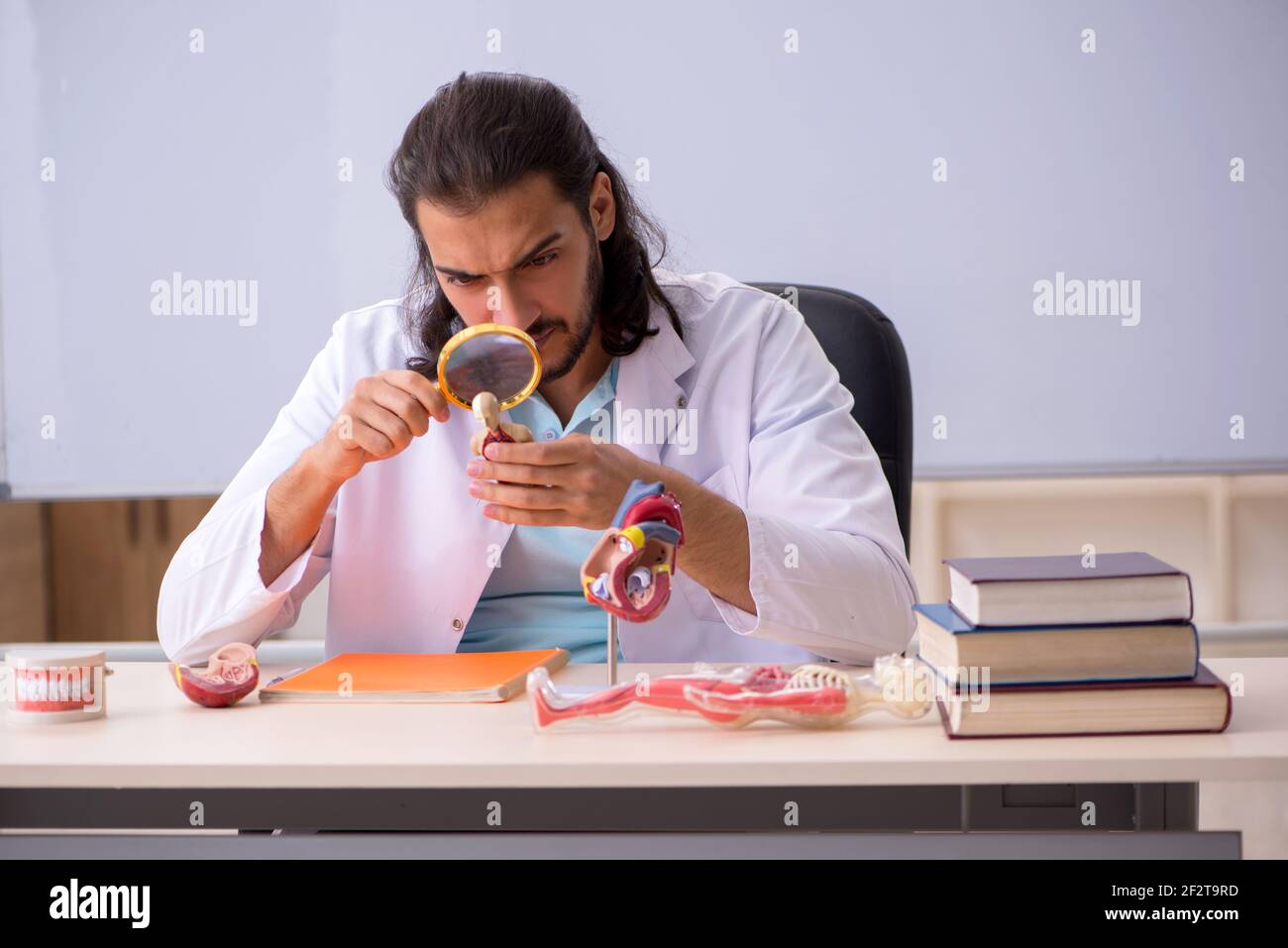 Young student studying human anatomy Stock Photo - Alamy