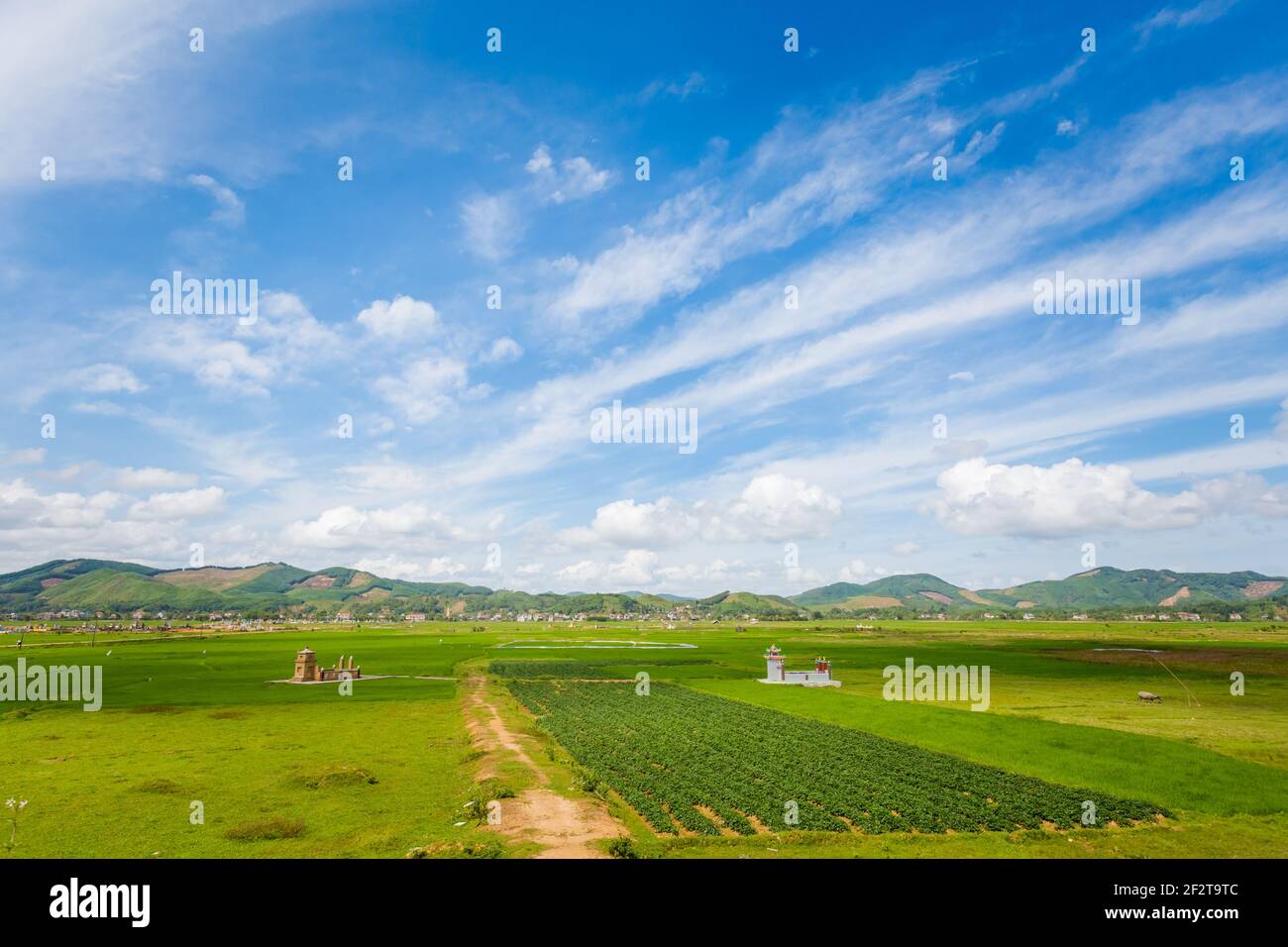 Beautiful green vivid rice fields landscape in National Park Phong Nha ...