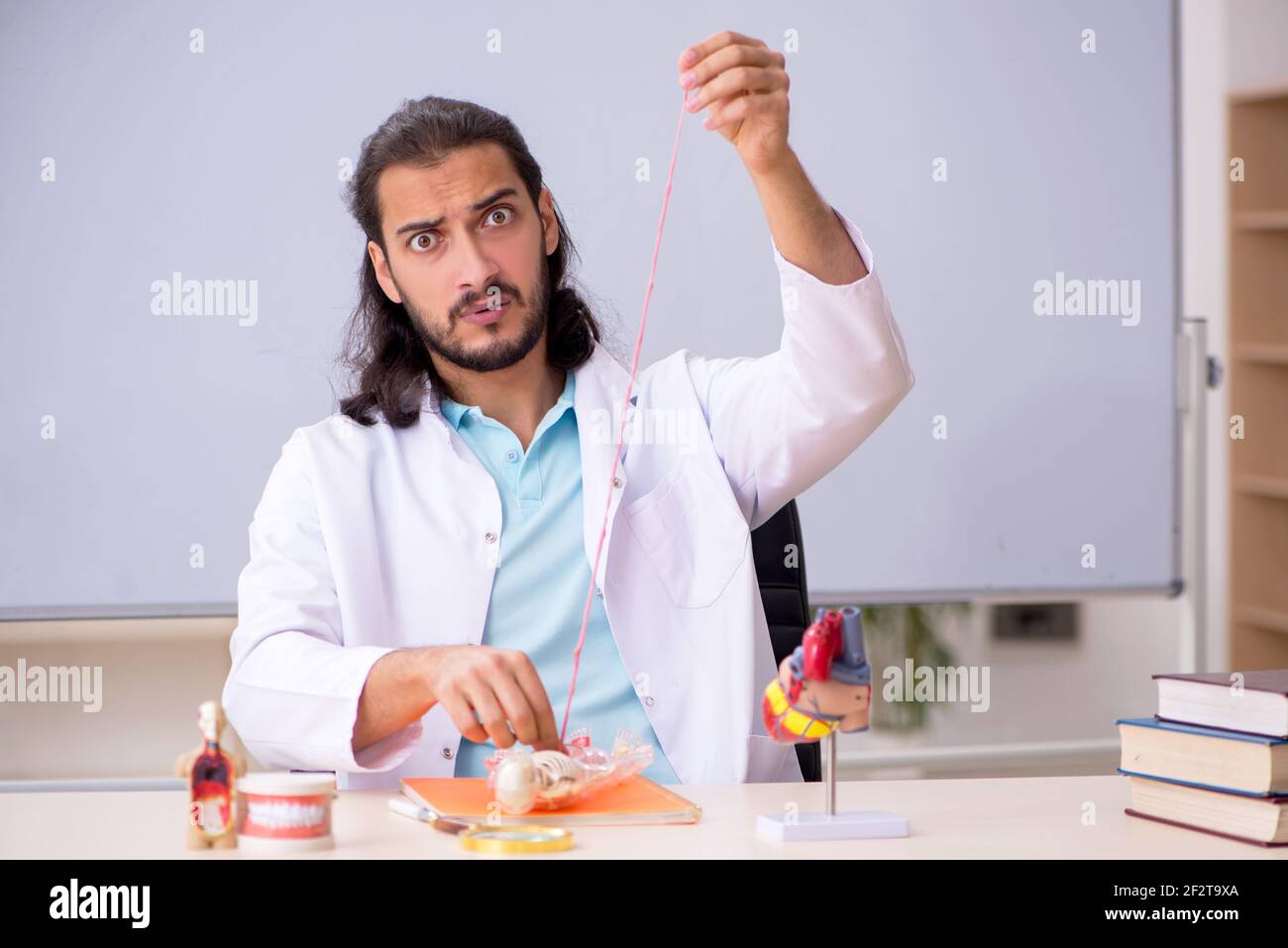 Young student studying human anatomy Stock Photo - Alamy