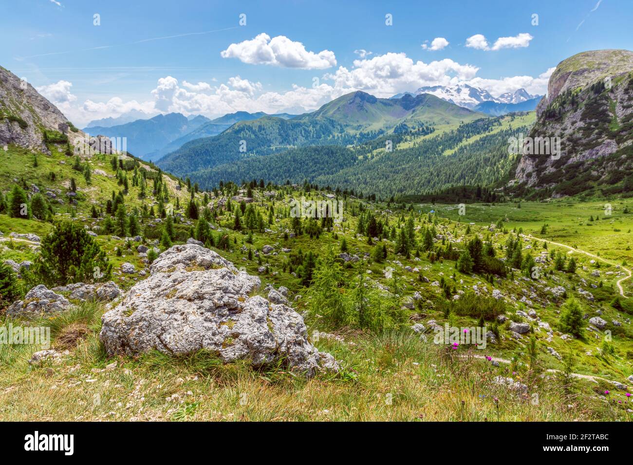 Beautiful landscape of the Dolomites mountain in summer at The ...