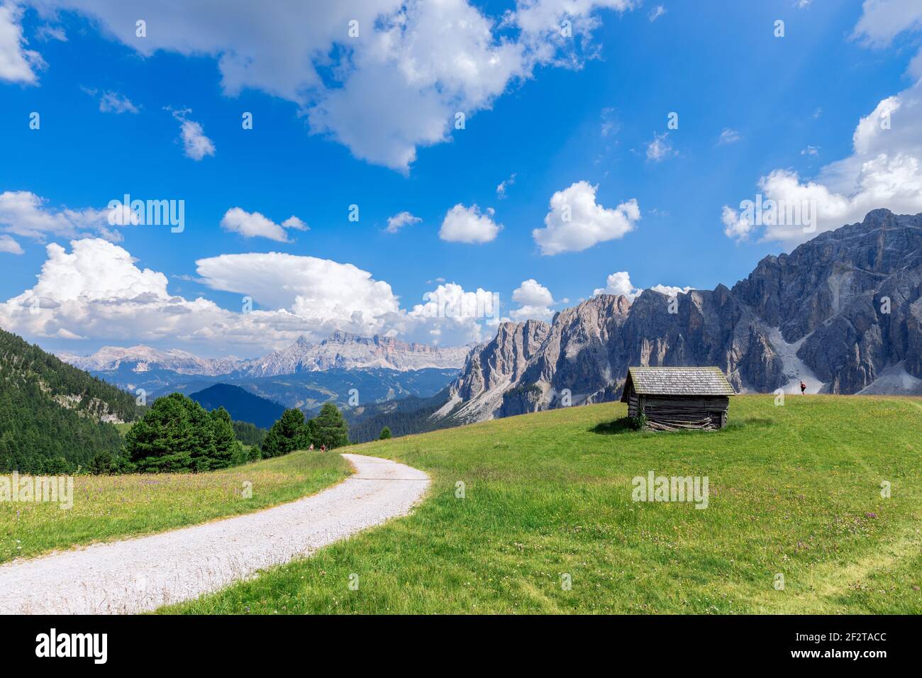 Rural road in green alpine valley with view of Italian Dolomites ...