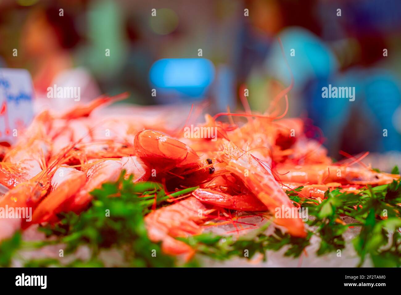 Spanish fish hi-res stock photography and images - Alamy