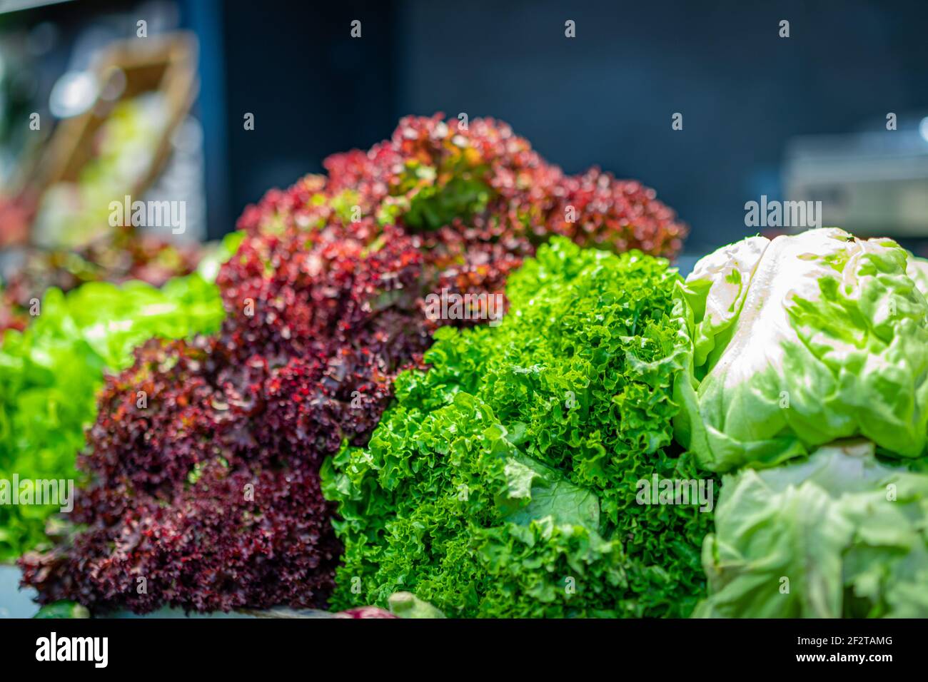 Various types of fresh lettuce on the counter of the grocery market ...