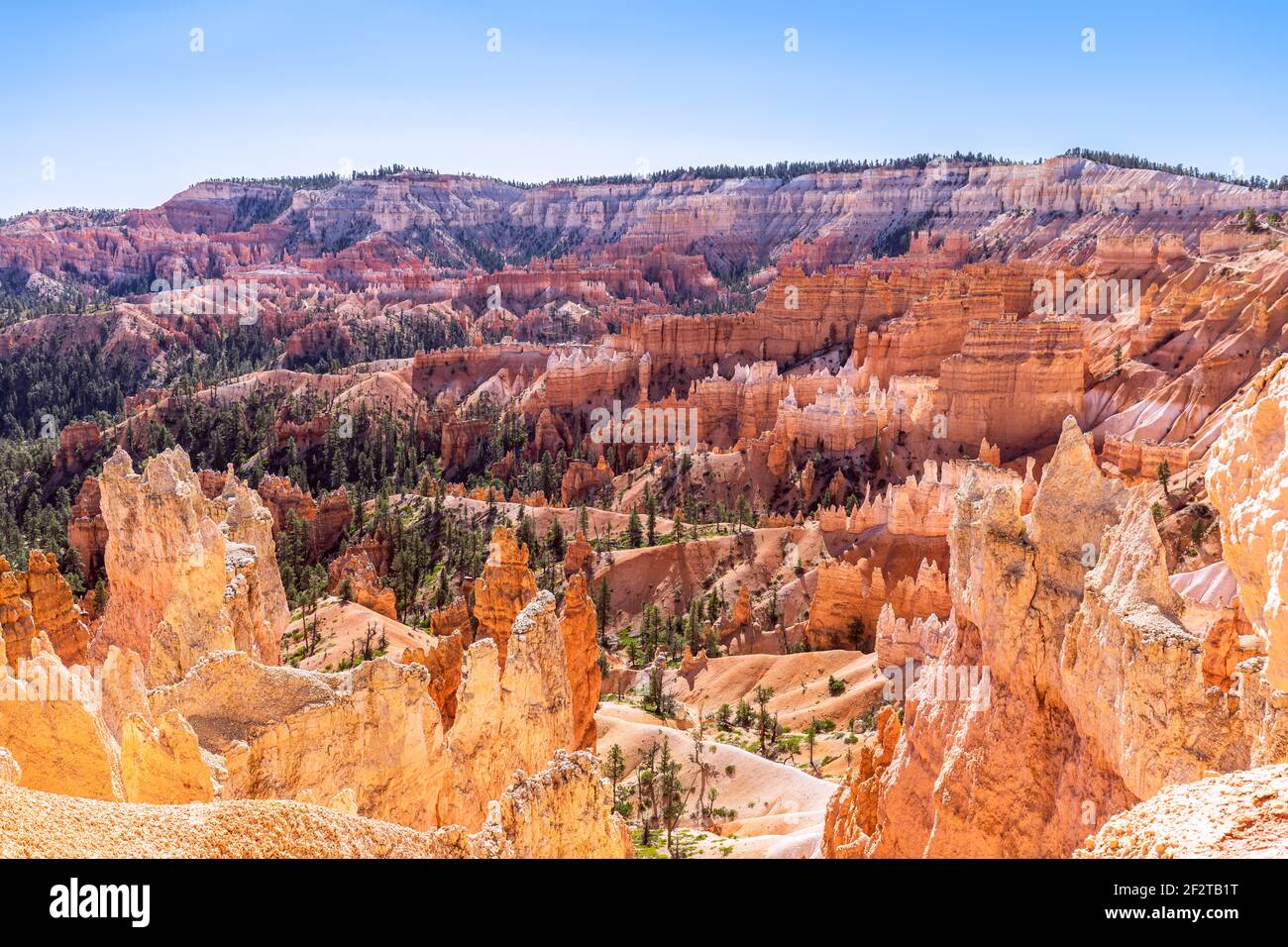 Panoramic view of amazing hoodoos sandstone formations in scenic Bryce ...