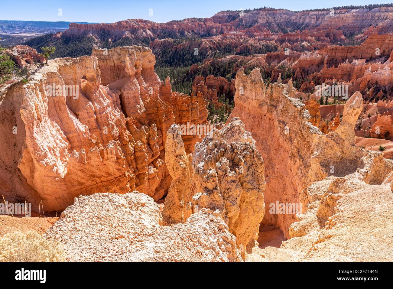 View of amazing hoodoos sandstone formations in scenic Bryce Canyon ...