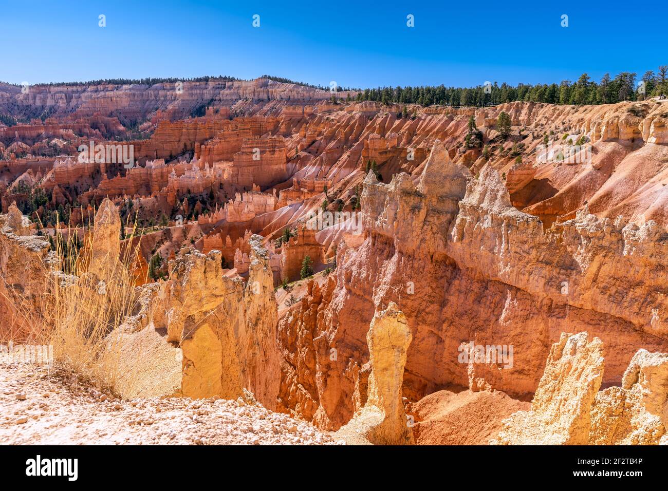 Panoramic view of amazing hoodoos sandstone formations in scenic Bryce ...