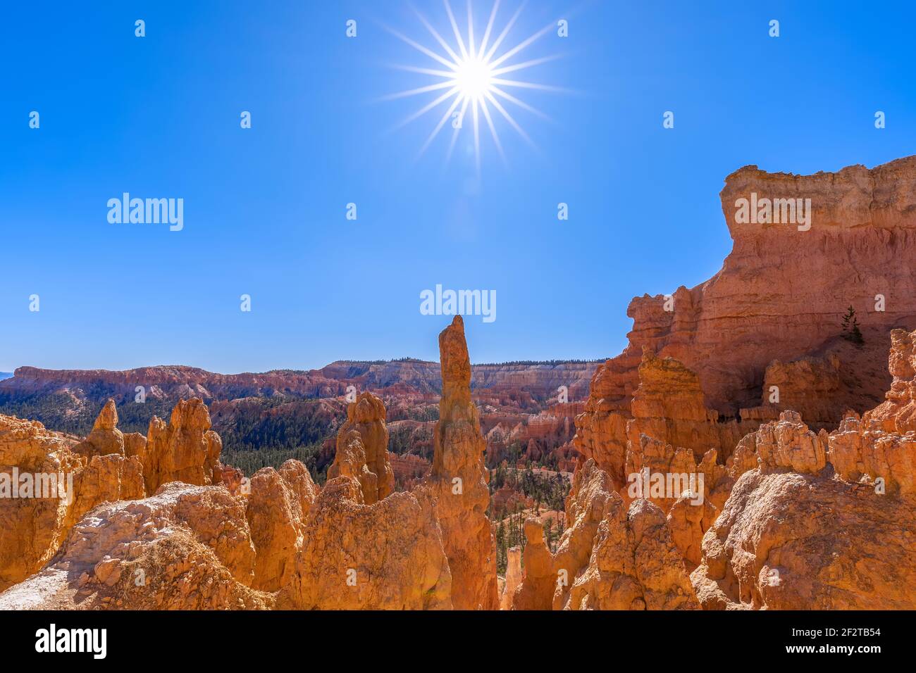View of amazing hoodoos sandstone formations in scenic Bryce Canyon ...