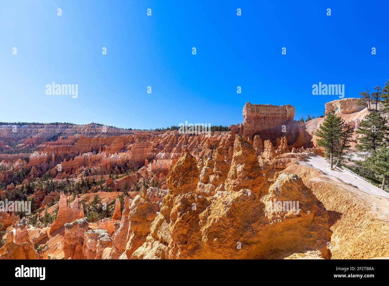 Panoramic view of amazing hoodoos sandstone formations in scenic Bryce ...