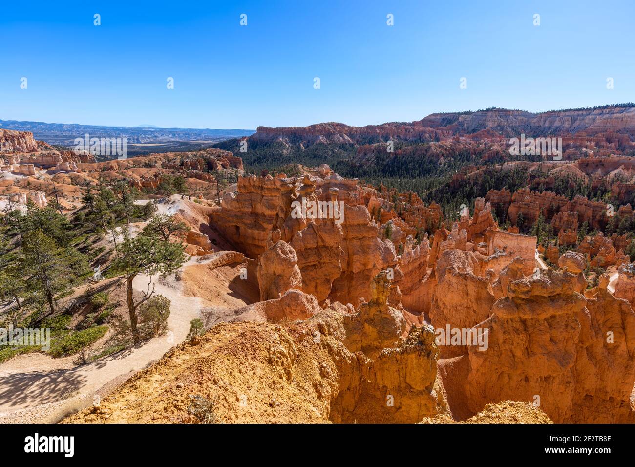 Panoramic view of amazing hoodoos sandstone formations in scenic Bryce ...