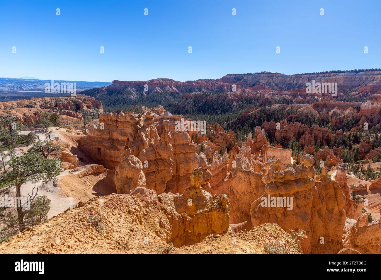 Panoramic view of amazing hoodoos sandstone formations in scenic Bryce ...