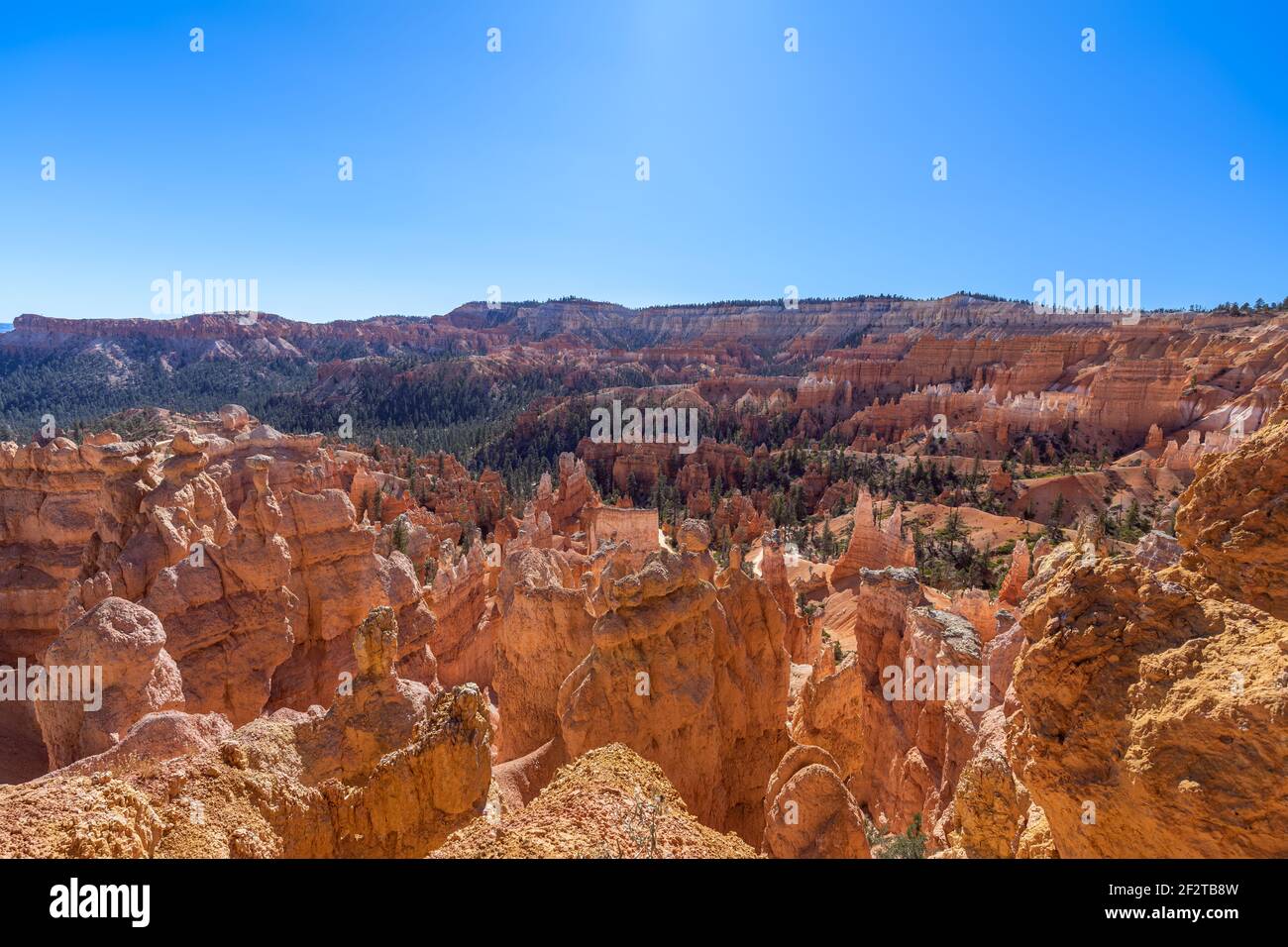Panoramic view of amazing hoodoos sandstone formations in scenic Bryce ...