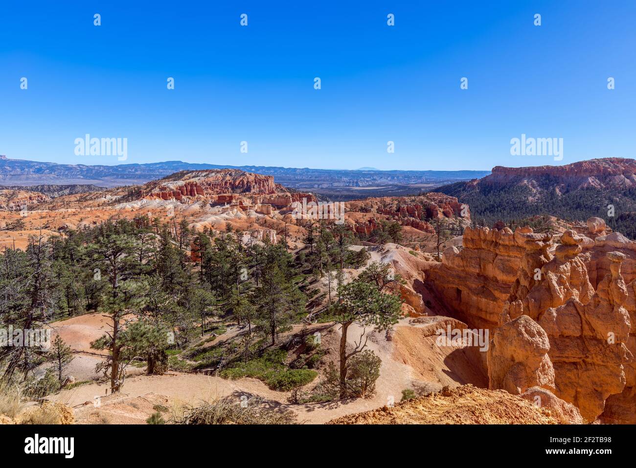 Panoramic view of amazing hoodoos sandstone formations in scenic Bryce ...