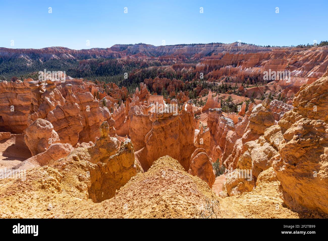 Panoramic view of amazing hoodoos sandstone formations in scenic Bryce ...