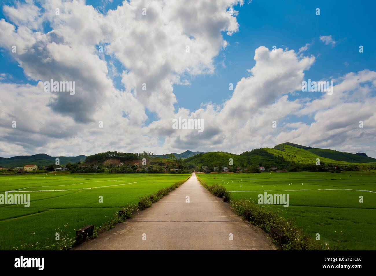 Beautiful green rice field landscape in National Park Phong Nha Ke Bang ...