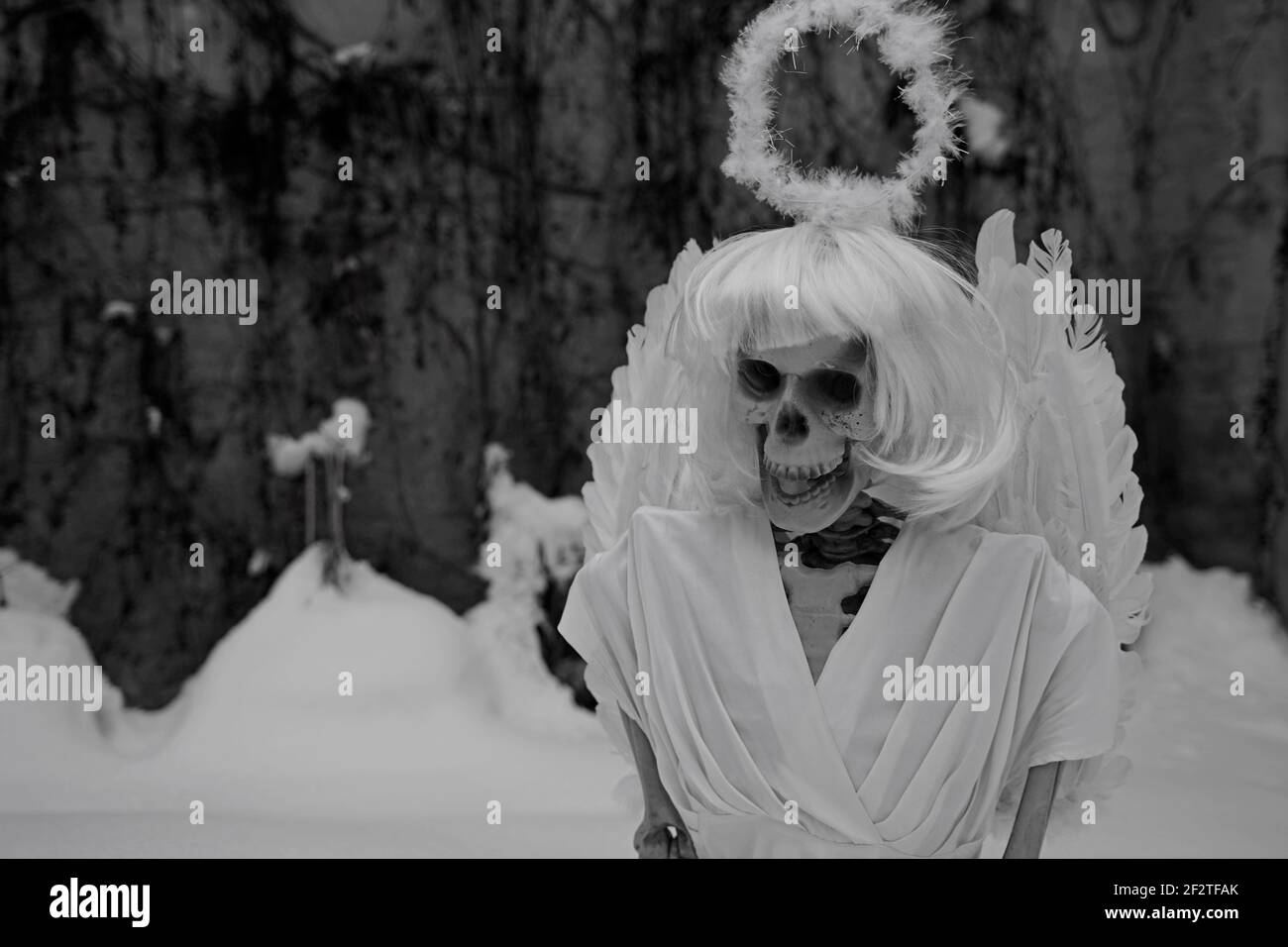 Last angel skeleton of an angel in white snow Stock Photo - Alamy