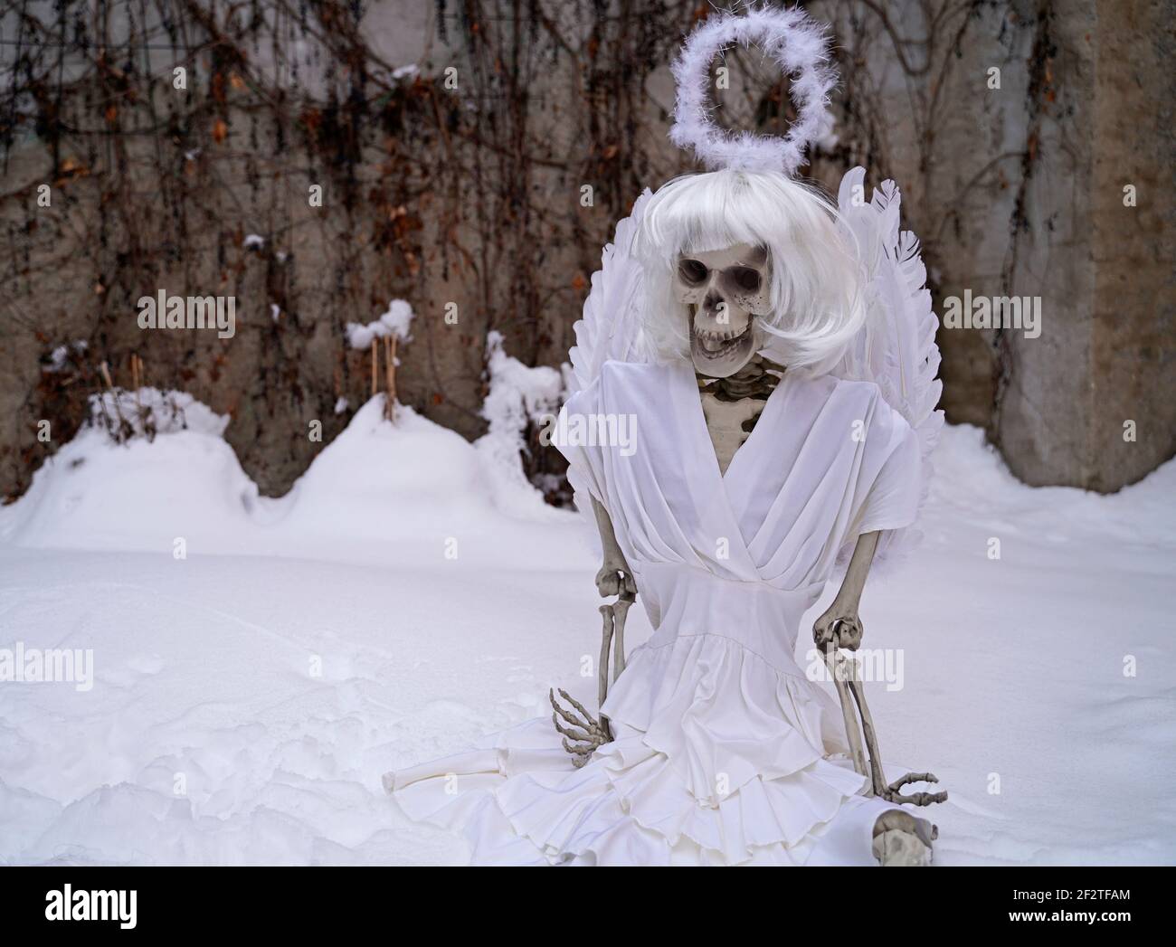 Skull and bone mardi gras hi-res stock photography and images - Alamy