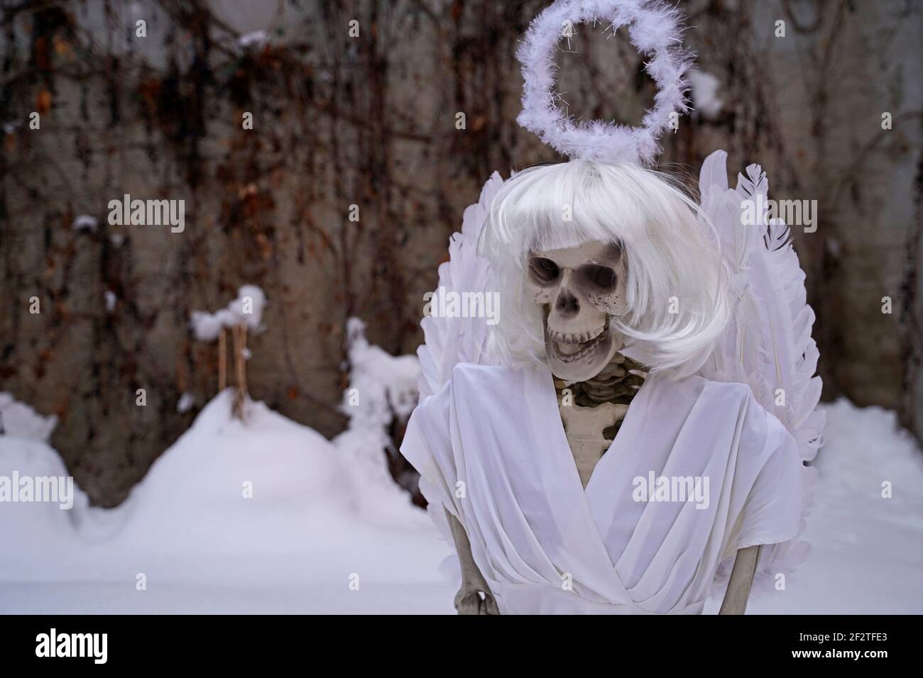 Last angel skeleton of an angel in white snow Stock Photo - Alamy