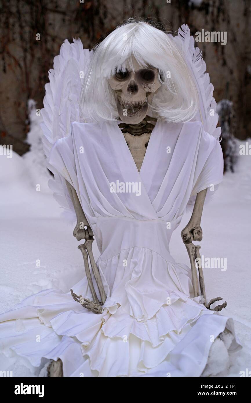 Skeleton angel hi-res stock photography and images - Alamy