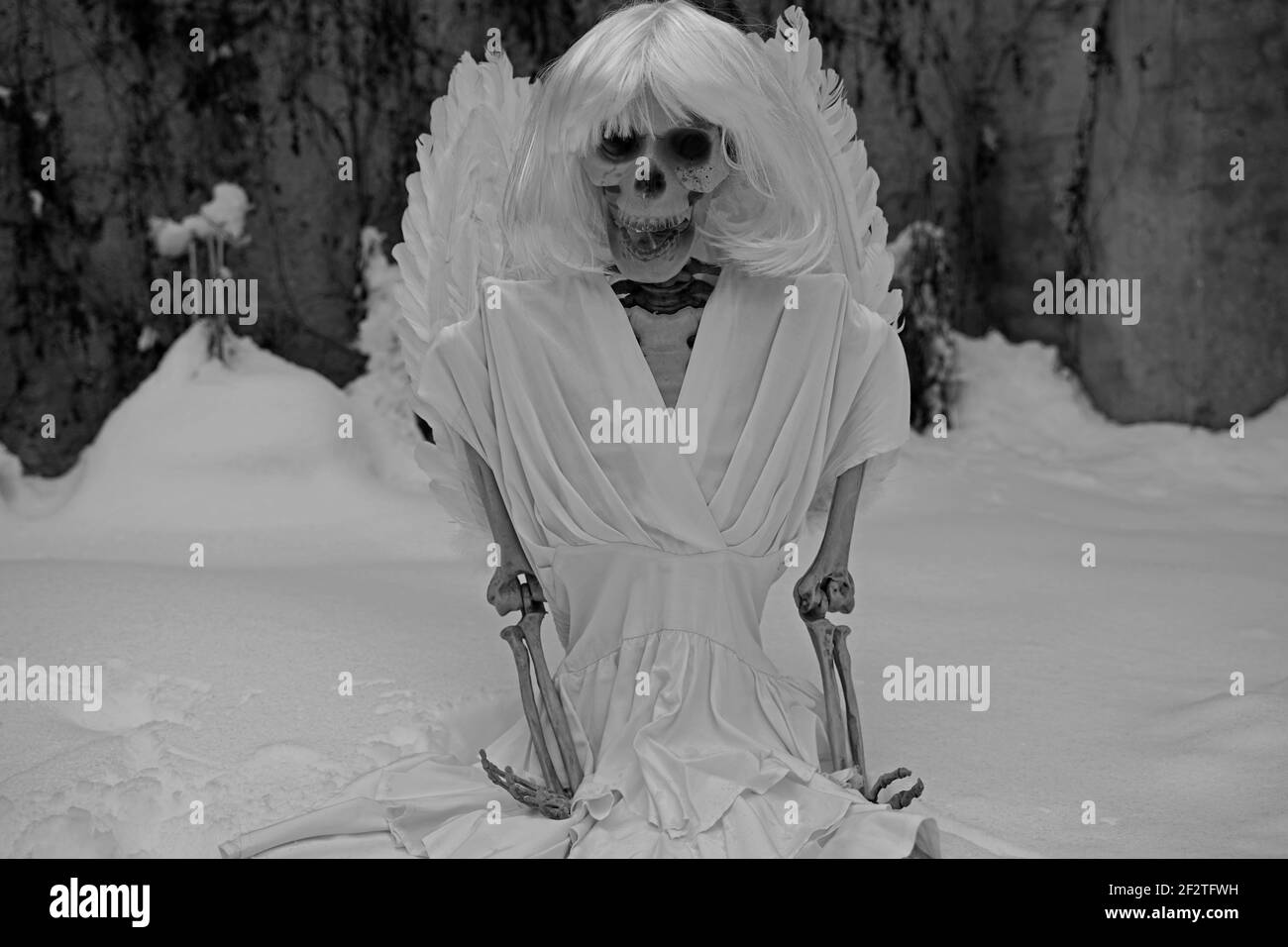 Last angel skeleton of an angel in white snow Stock Photo - Alamy