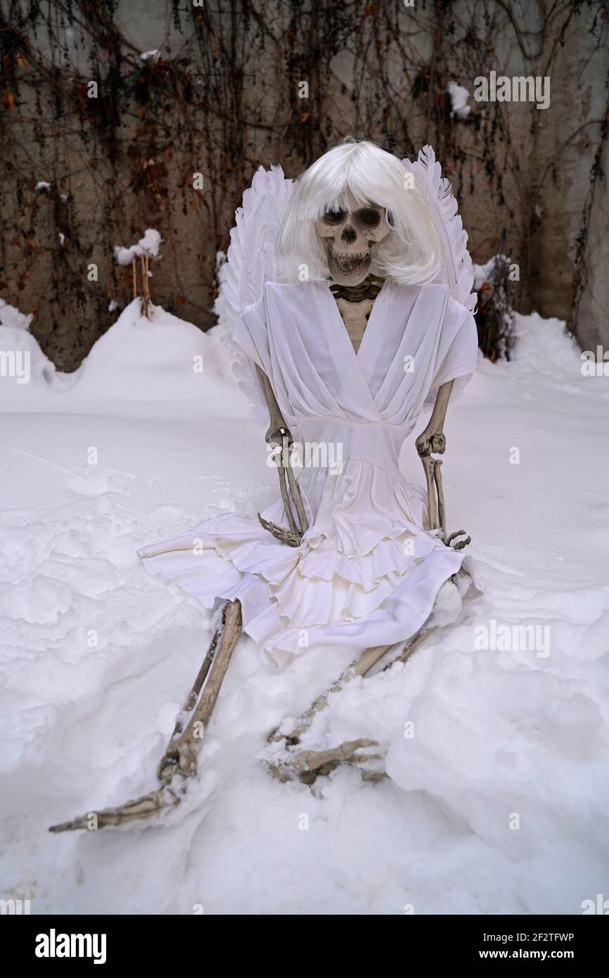Last angel skeleton of an angel in white snow Stock Photo - Alamy