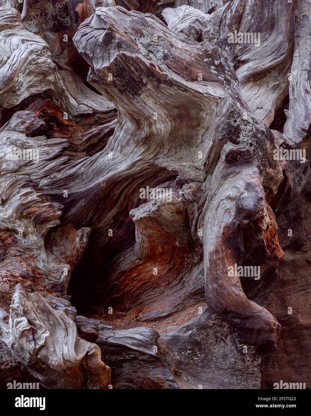 High resolution wood texture hi-res stock photography and images - Alamy