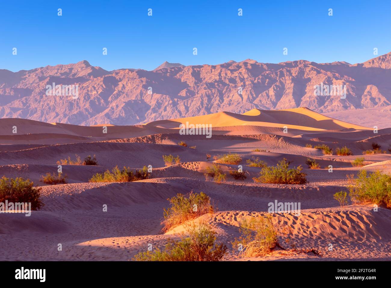 Landscape of sand dunes in Death Valley National Park during sunset ...