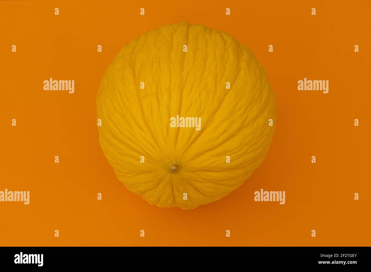 Vibrant shades of yellow hi-res stock photography and images - Alamy