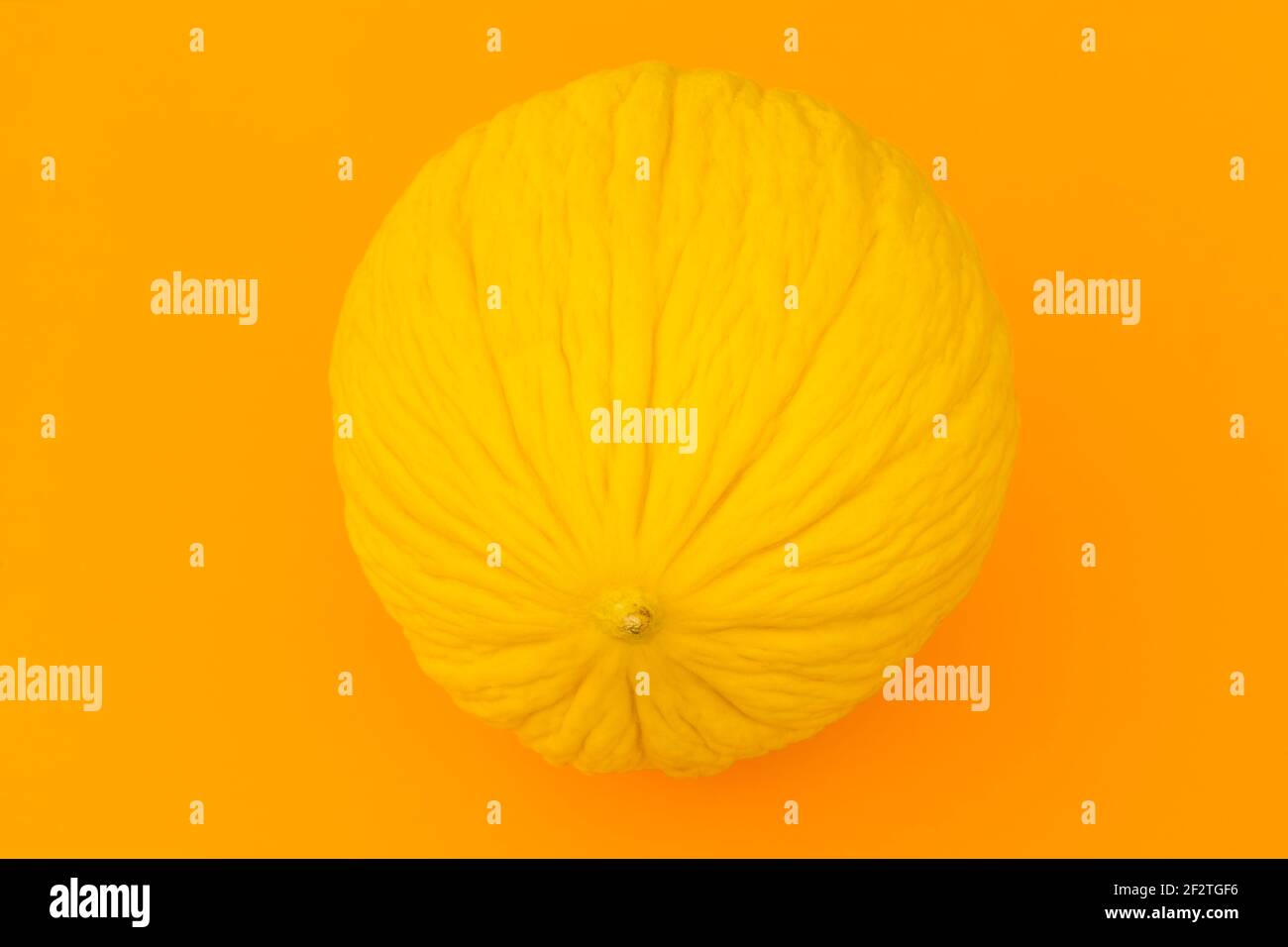 Yellow melon on bright yellow background. Creative food concept Stock ...