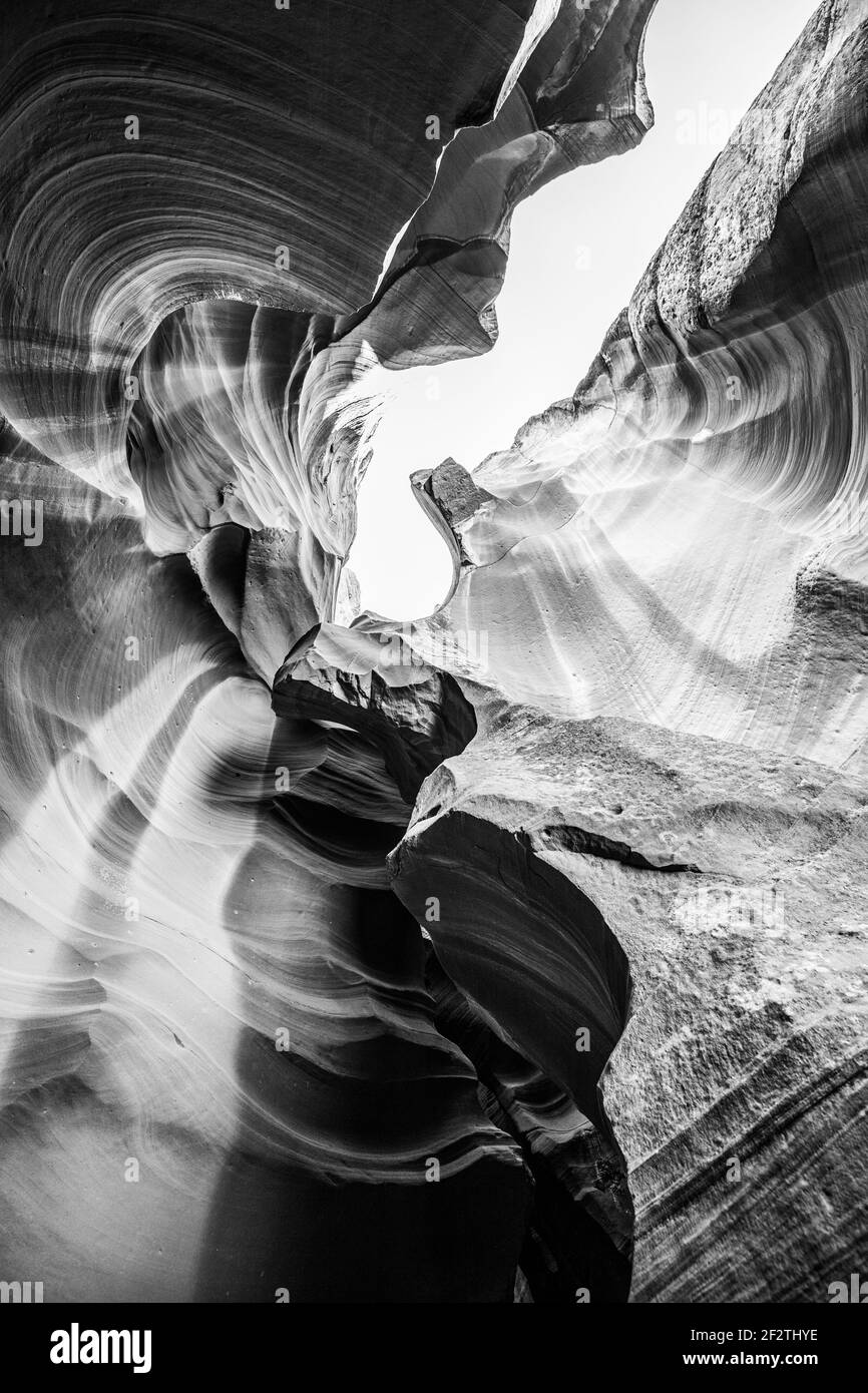 Sunny scenery near stone Black and White Stock Photos & Images - Alamy