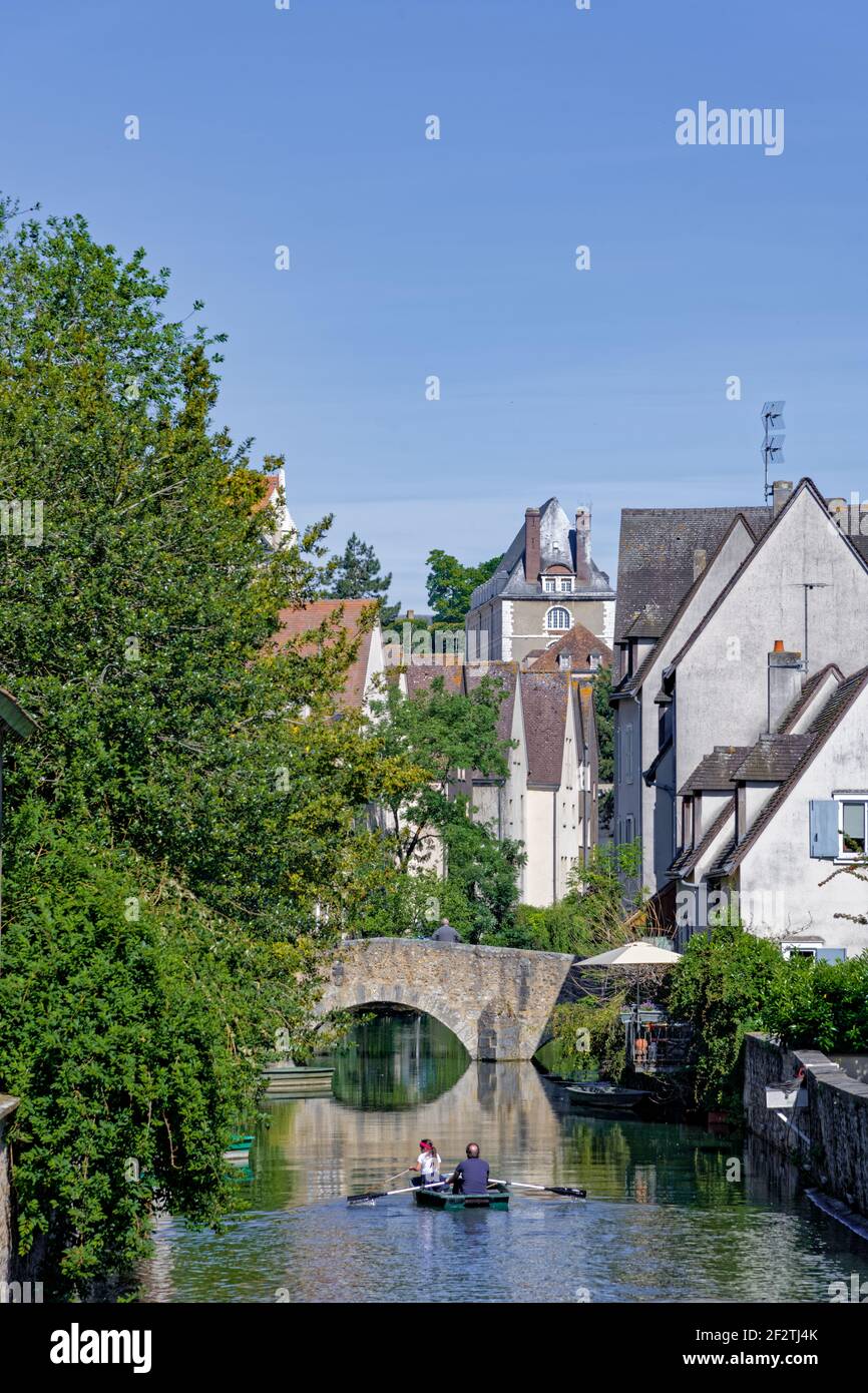Tree walk bridges hi-res stock photography and images - Alamy