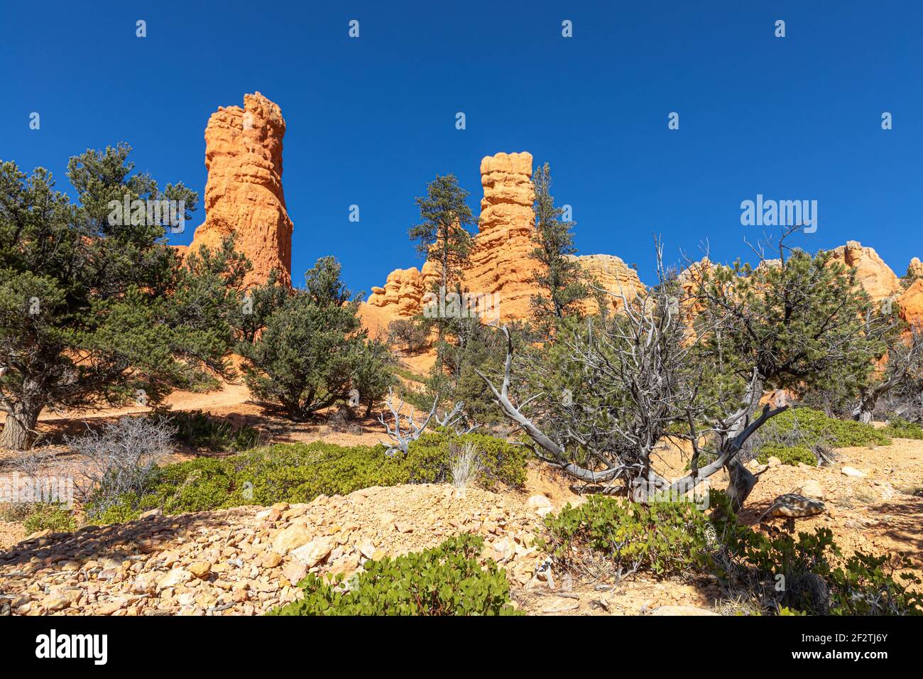 On the way to Bryce Canyon National Park. Utah, USA Stock Photo - Alamy