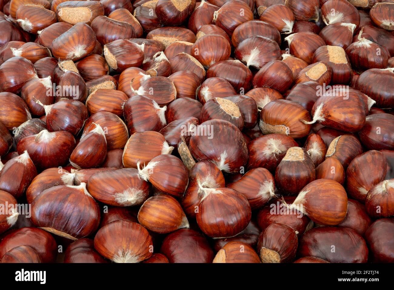 Sweet chestnut background for creative backdrop (Focus stacking Stock ...
