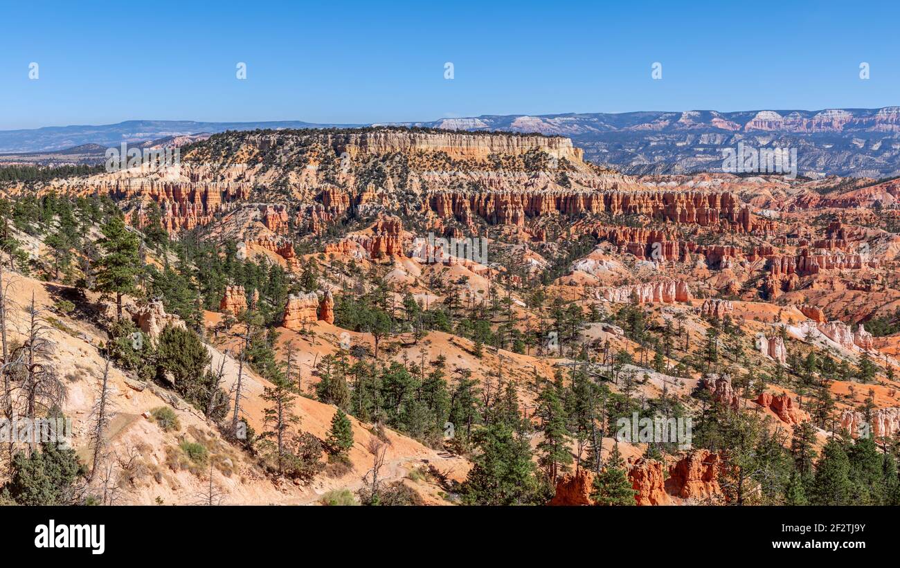Panoramic view of amazing hoodoos sandstone formations in scenic Bryce ...