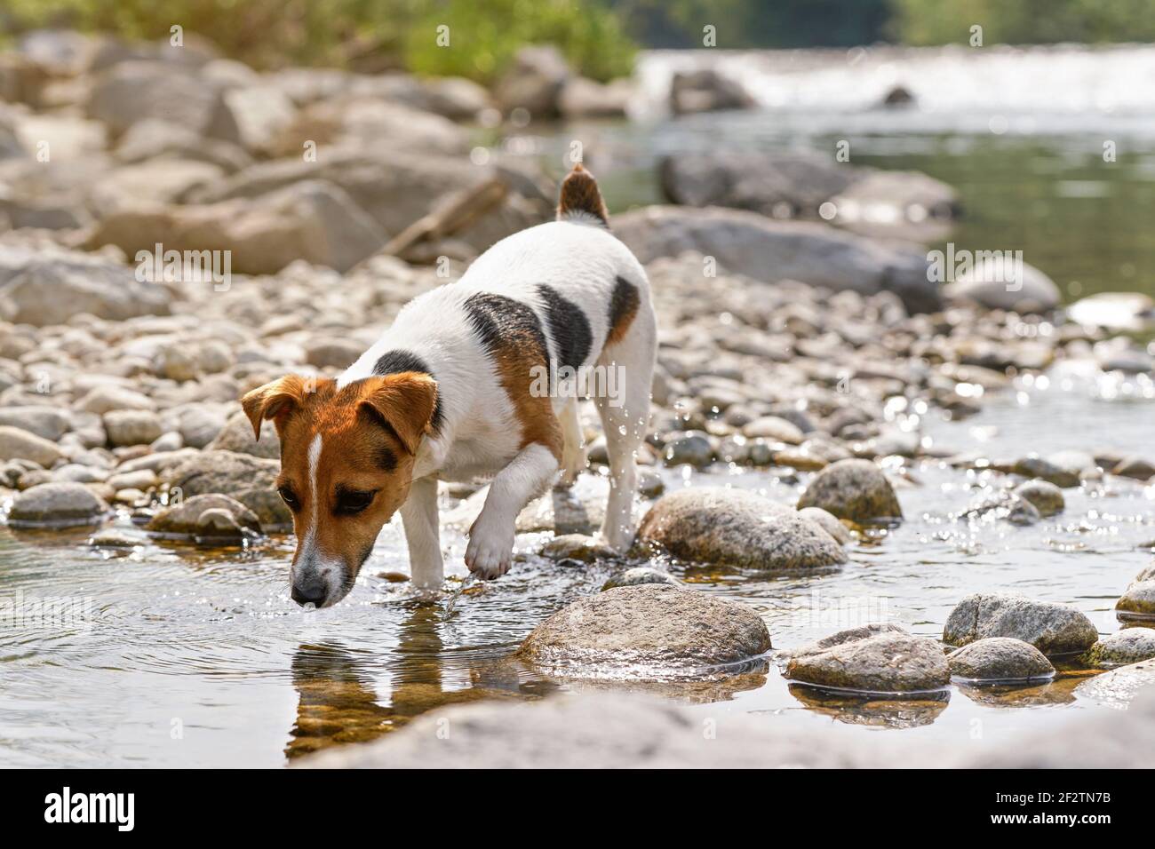 Shallow water near shore hi-res stock photography and images - Alamy