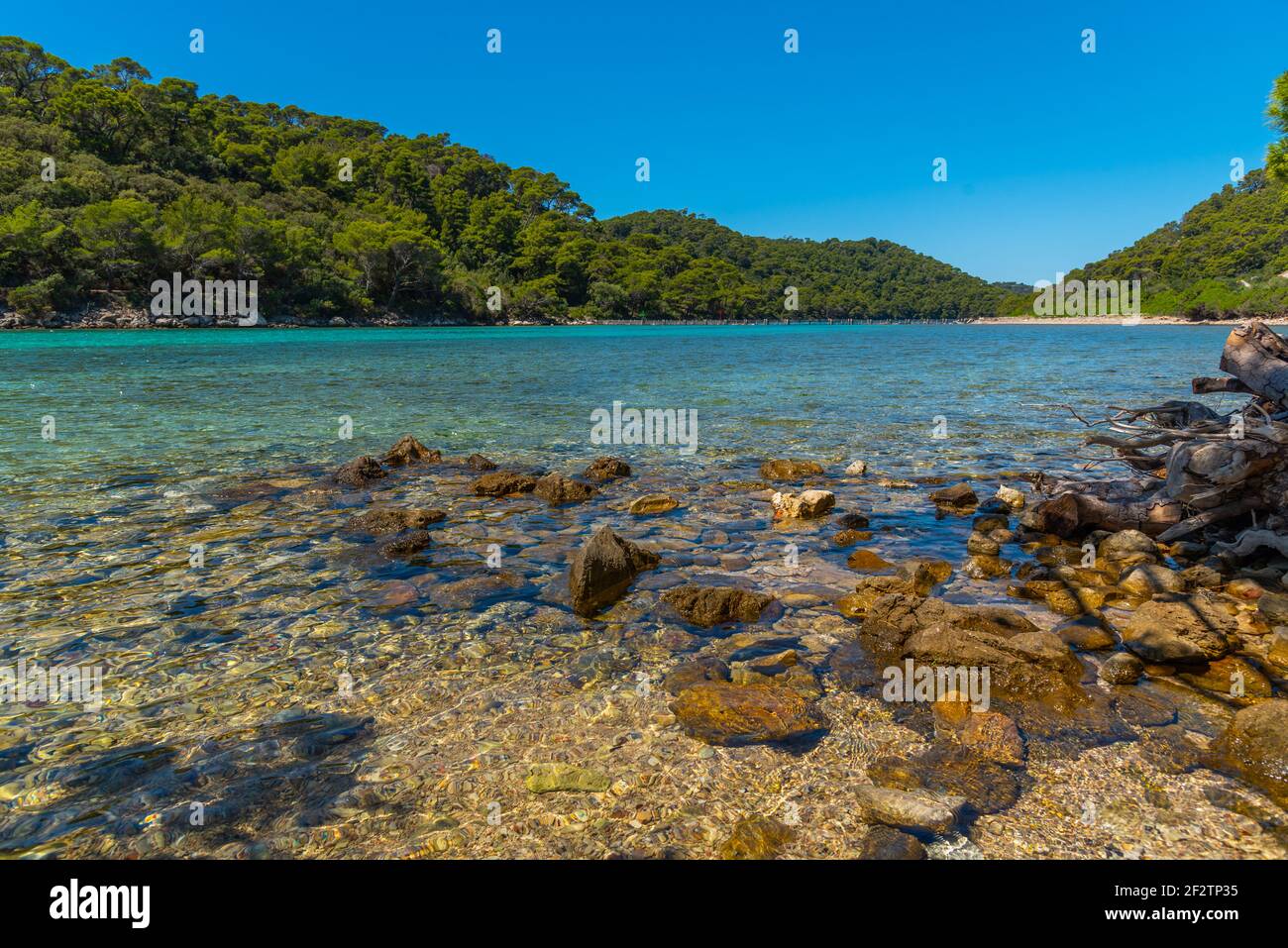 Turquoise water of Veliko Jezero at Mljet national park in Croatia ...